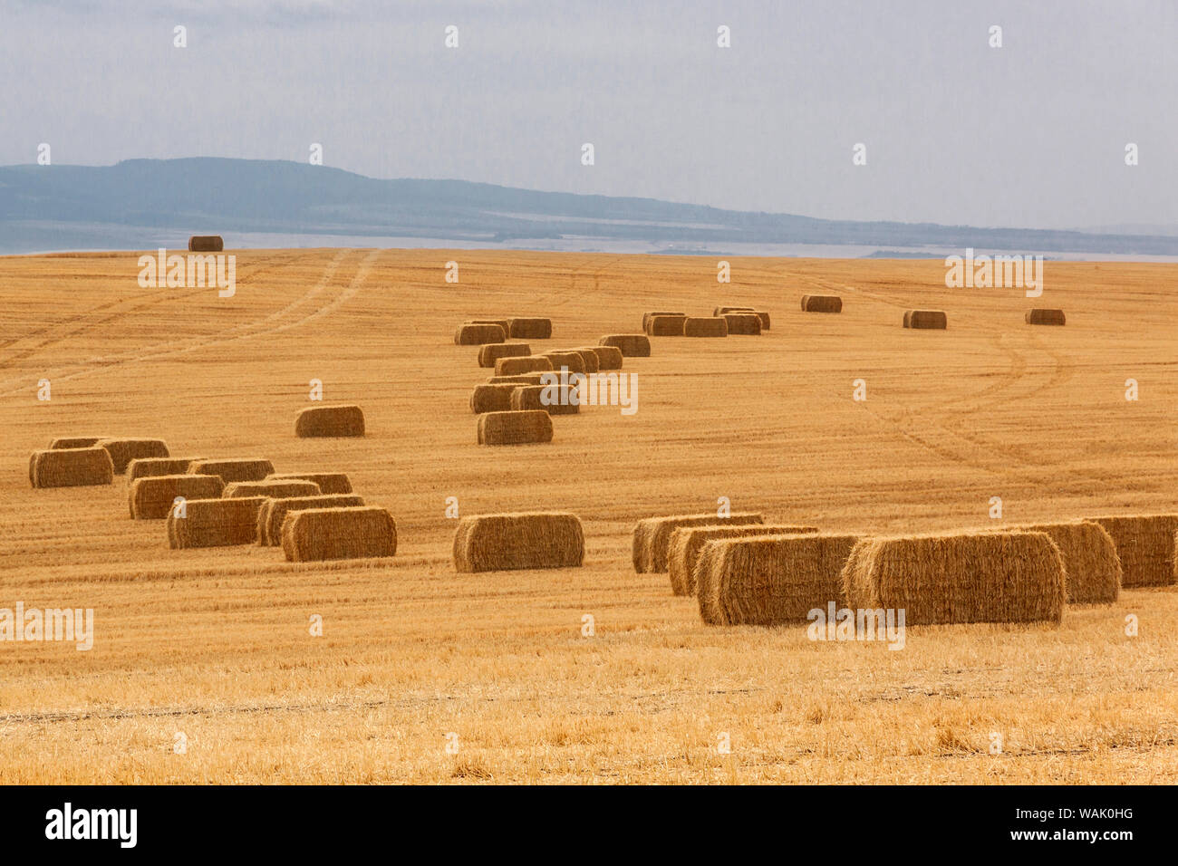 Drummond hay hi-res stock photography and images - Alamy