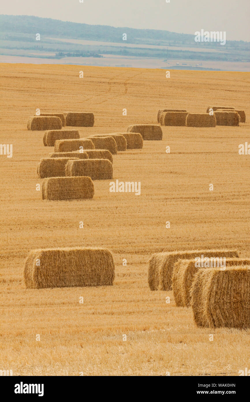 Drummond hay hi-res stock photography and images - Alamy