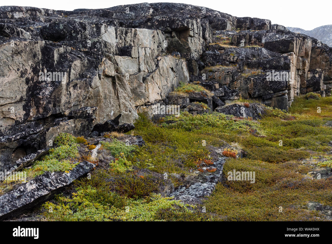 Greenland, Eqip Sermia. Rocks and tundra Stock Photo - Alamy
