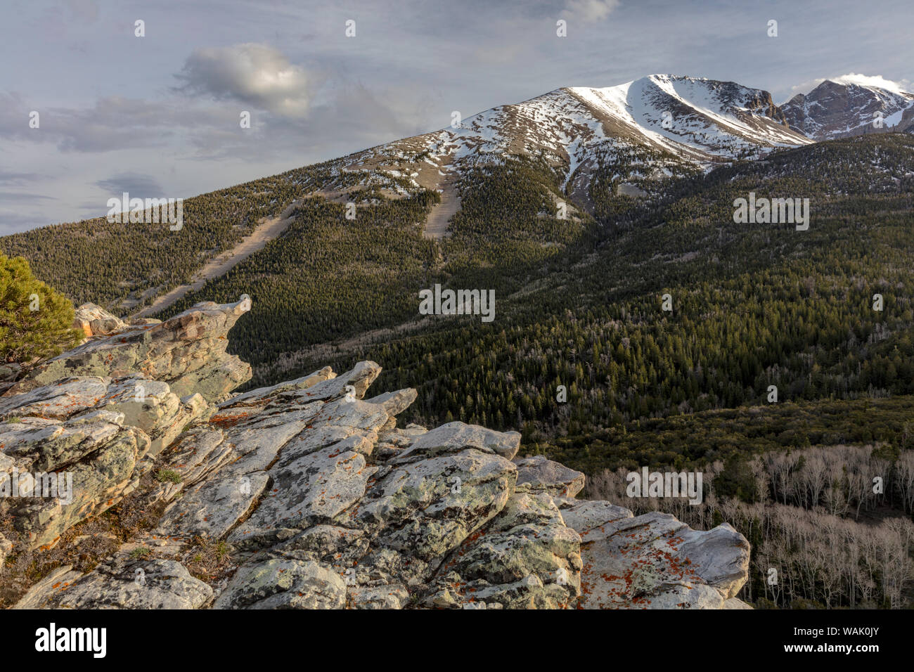 Great basin hi-res stock photography and images - Alamy