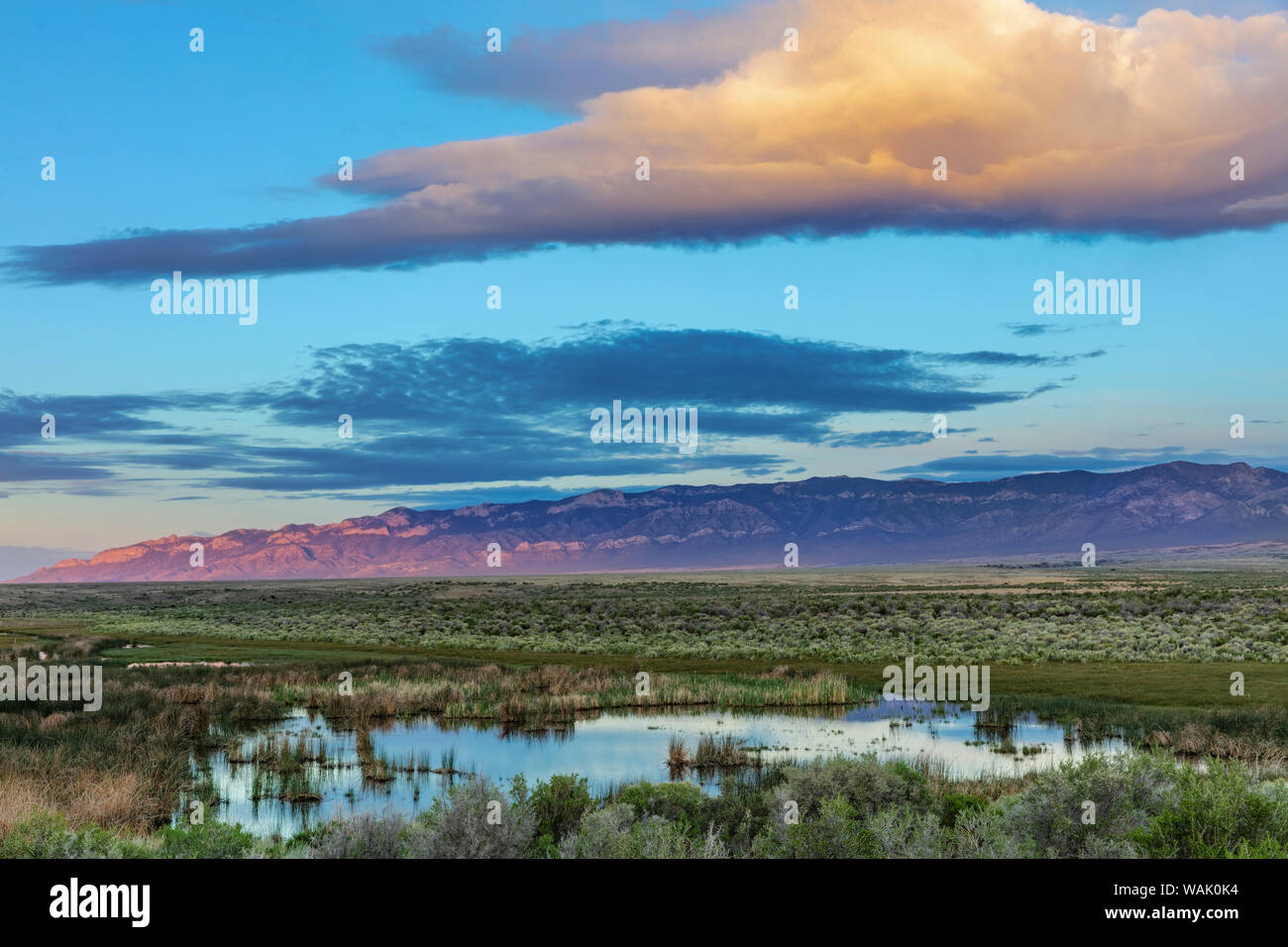 Snake Mountains reflection into wetlands of Great Basin National Park ...