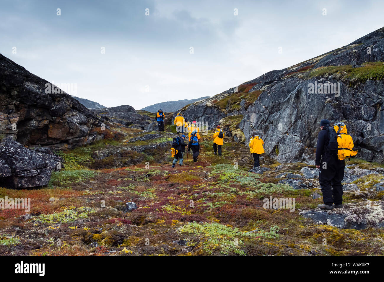 Greenland, Eqip Sermia. Hiking on the Greenland tundra Stock Photo - Alamy
