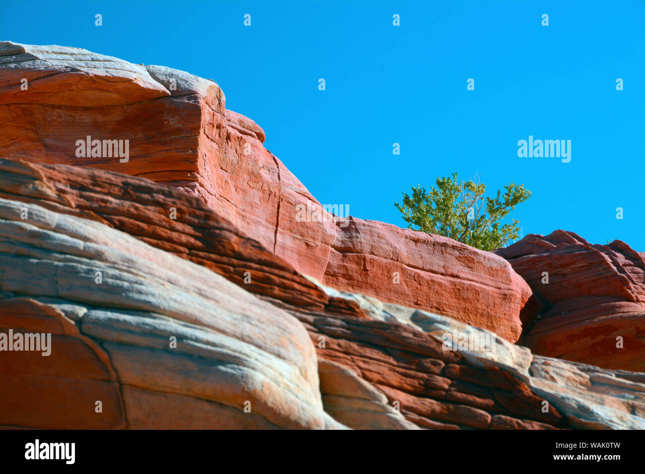 View from Pink Canyon, Valley of Fire State Park, Nevada, USA Stock ...