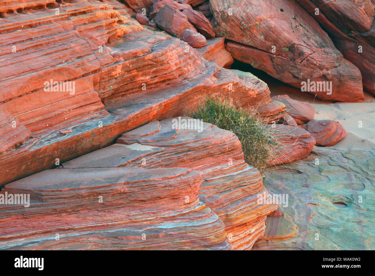 Pink Canyon, Valley of Fire State Park, Nevada, USA Stock Photo - Alamy