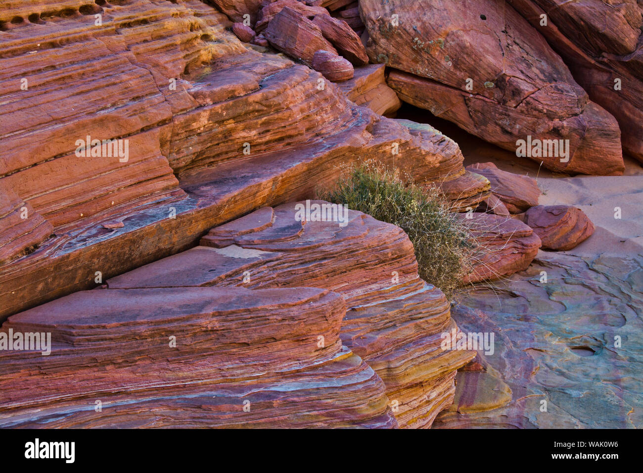Pink Canyon, Valley of Fire State Park, Nevada, USA Stock Photo - Alamy