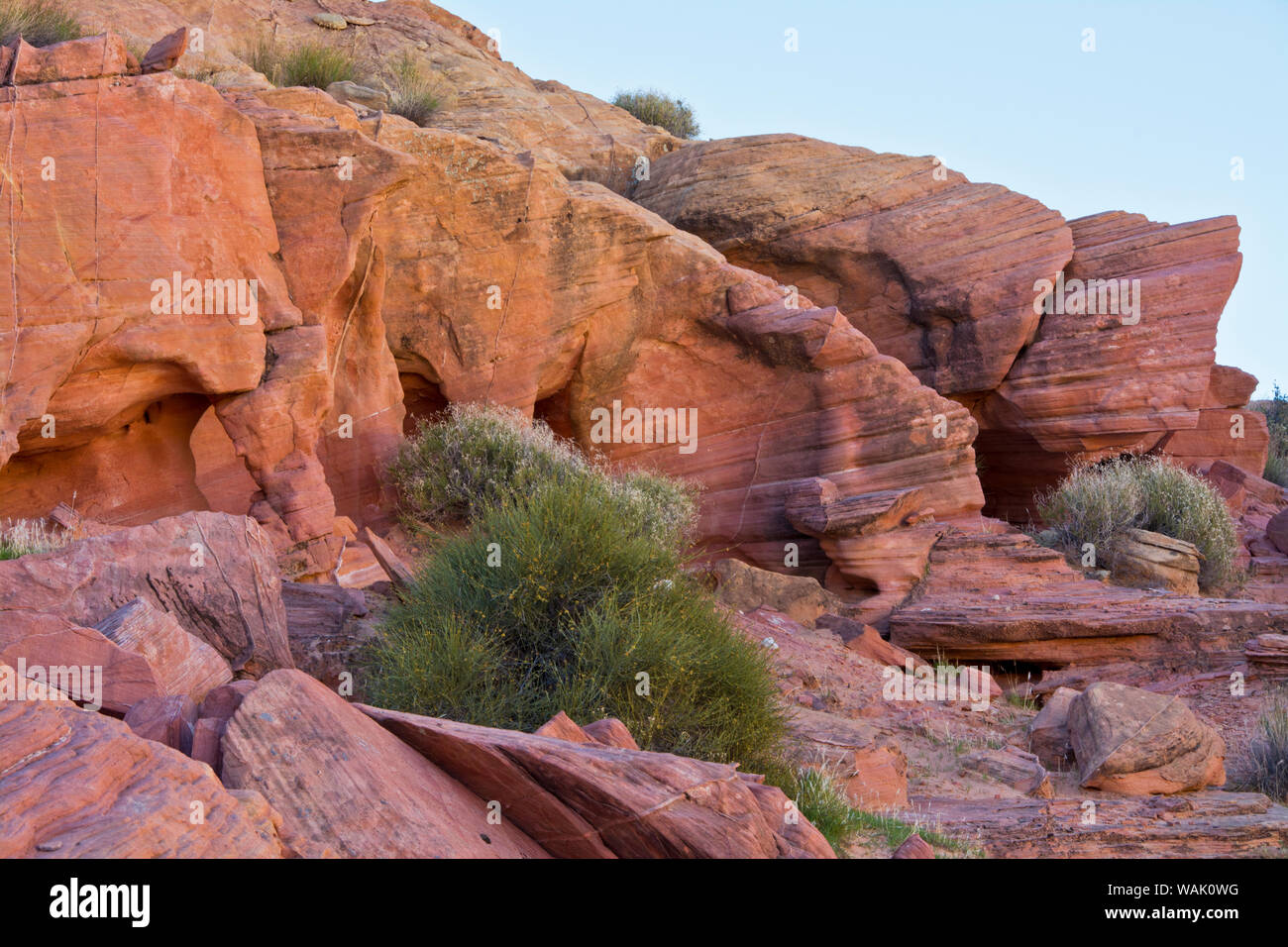 Valley of fire state park pink canyon hi-res stock photography and ...