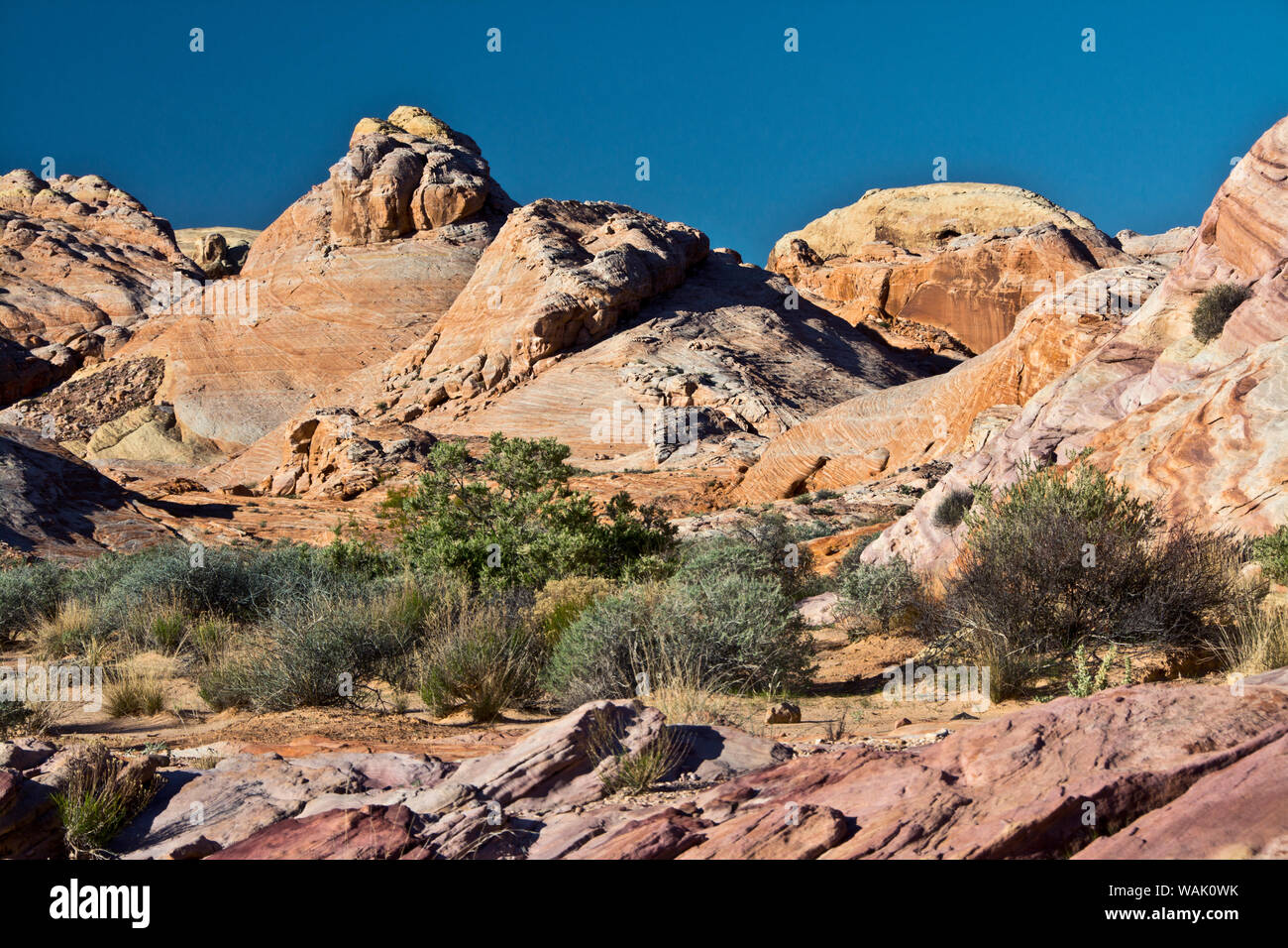 Colorful terrain, Valley of Fire State Park, Nevada, USA Stock Photo ...