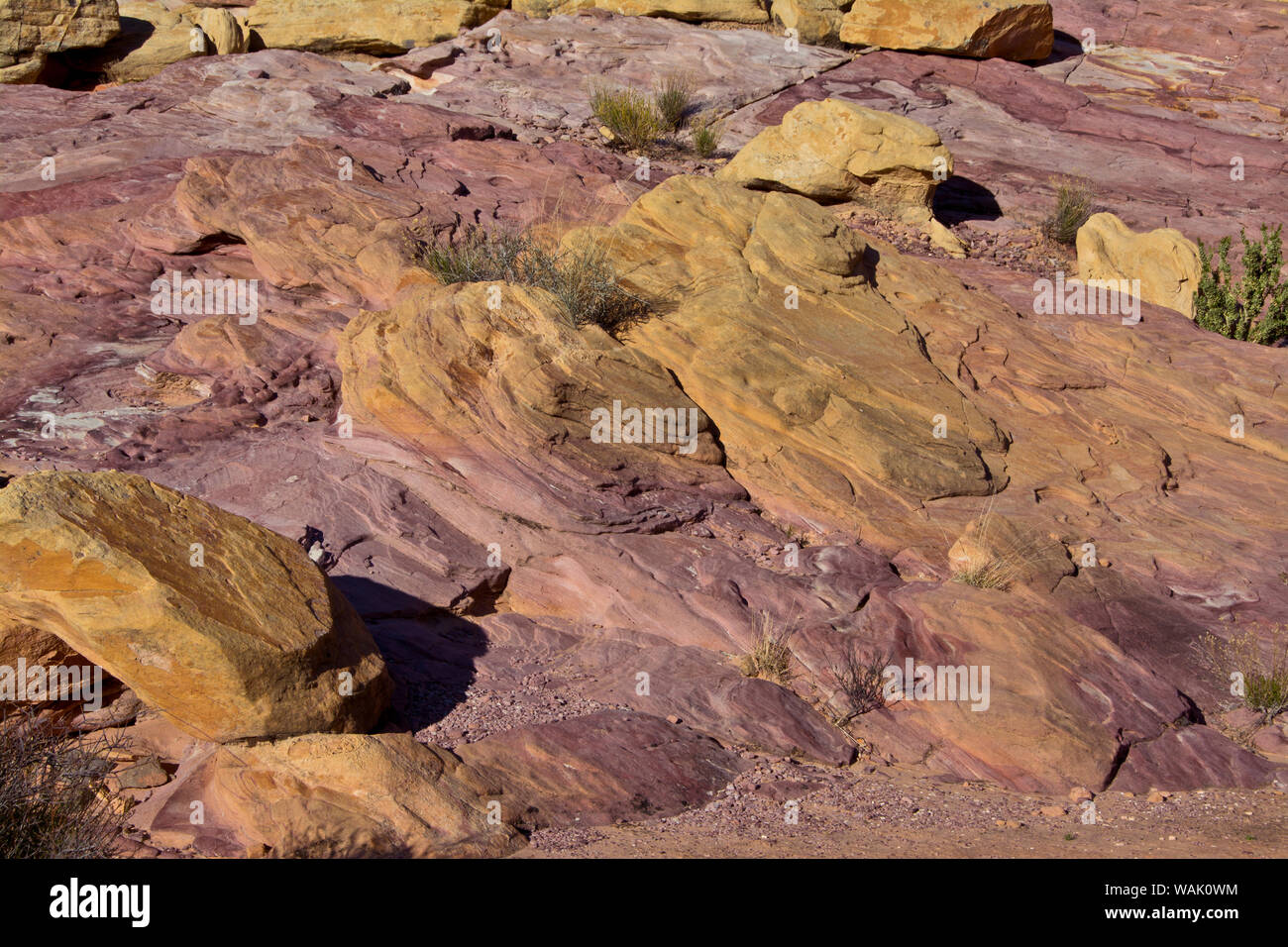 Colorful terrain, Valley of Fire State Park, Nevada, USA Stock Photo ...