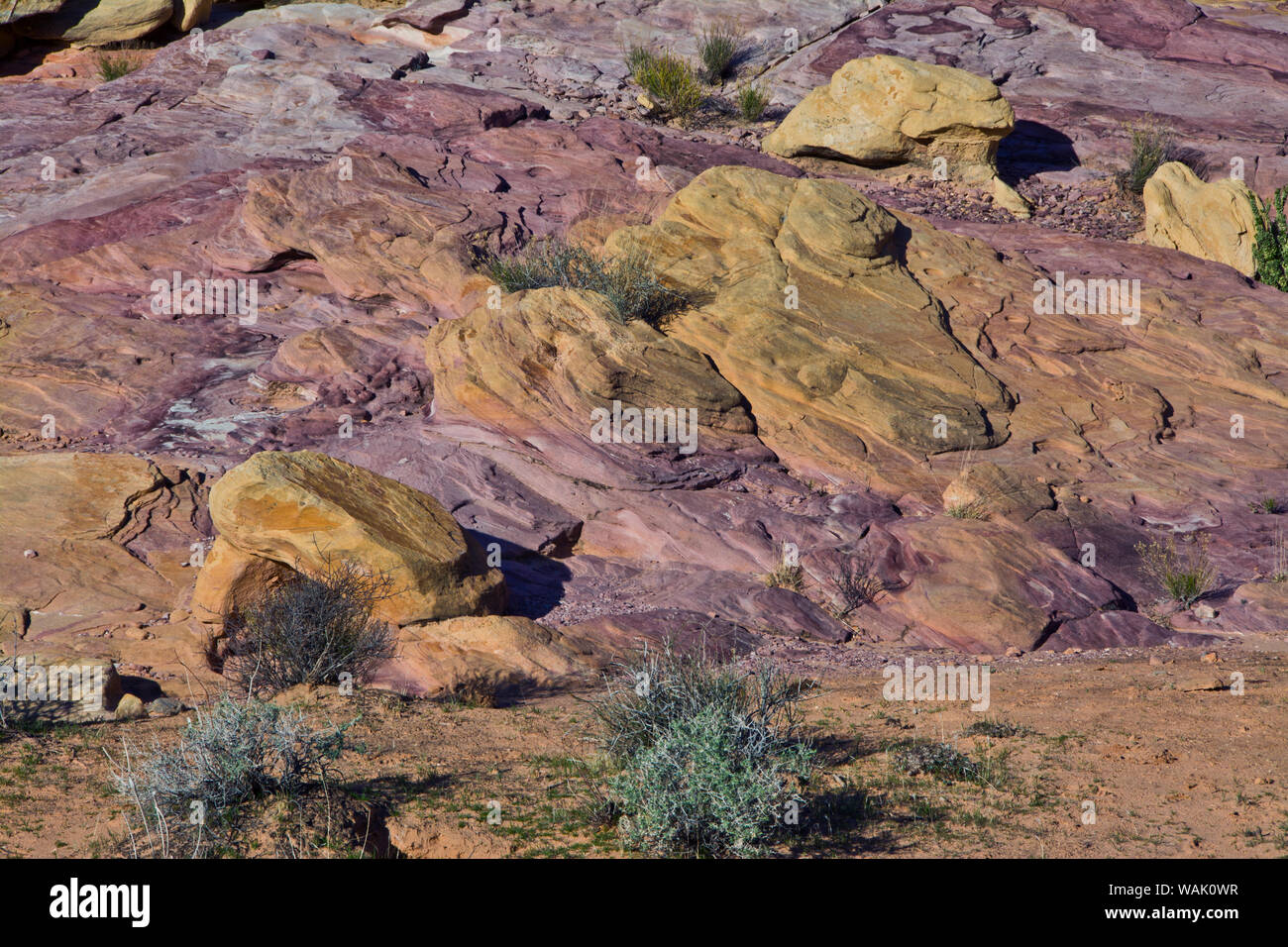 Colorful terrain hi-res stock photography and images - Alamy