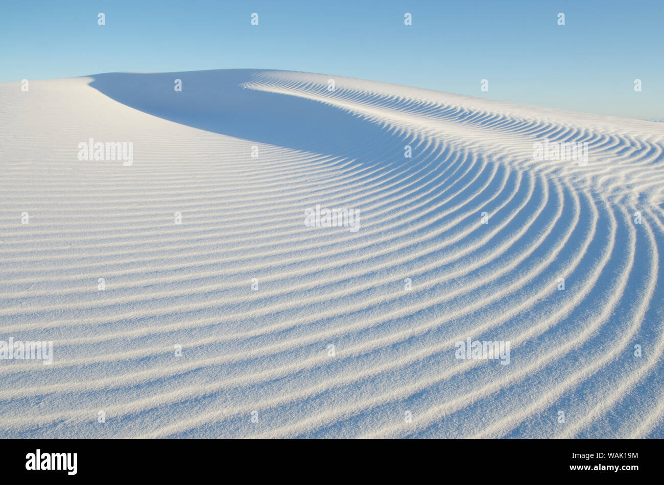 Ripple patterns in gypsum sand dunes, White Sands National Monument ...