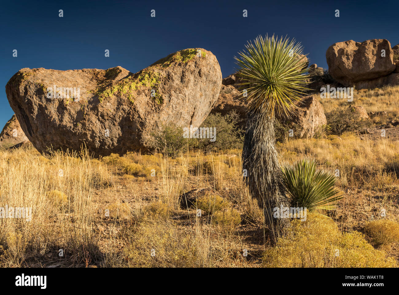 City of rocks new mexico hi-res stock photography and images - Alamy
