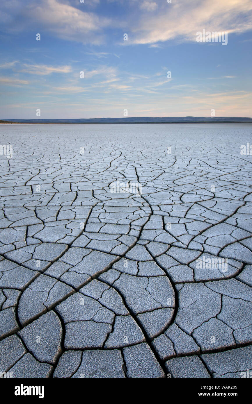 Patterns of cracked mud on dry lakebed of Harney Lake, Malheur National ...