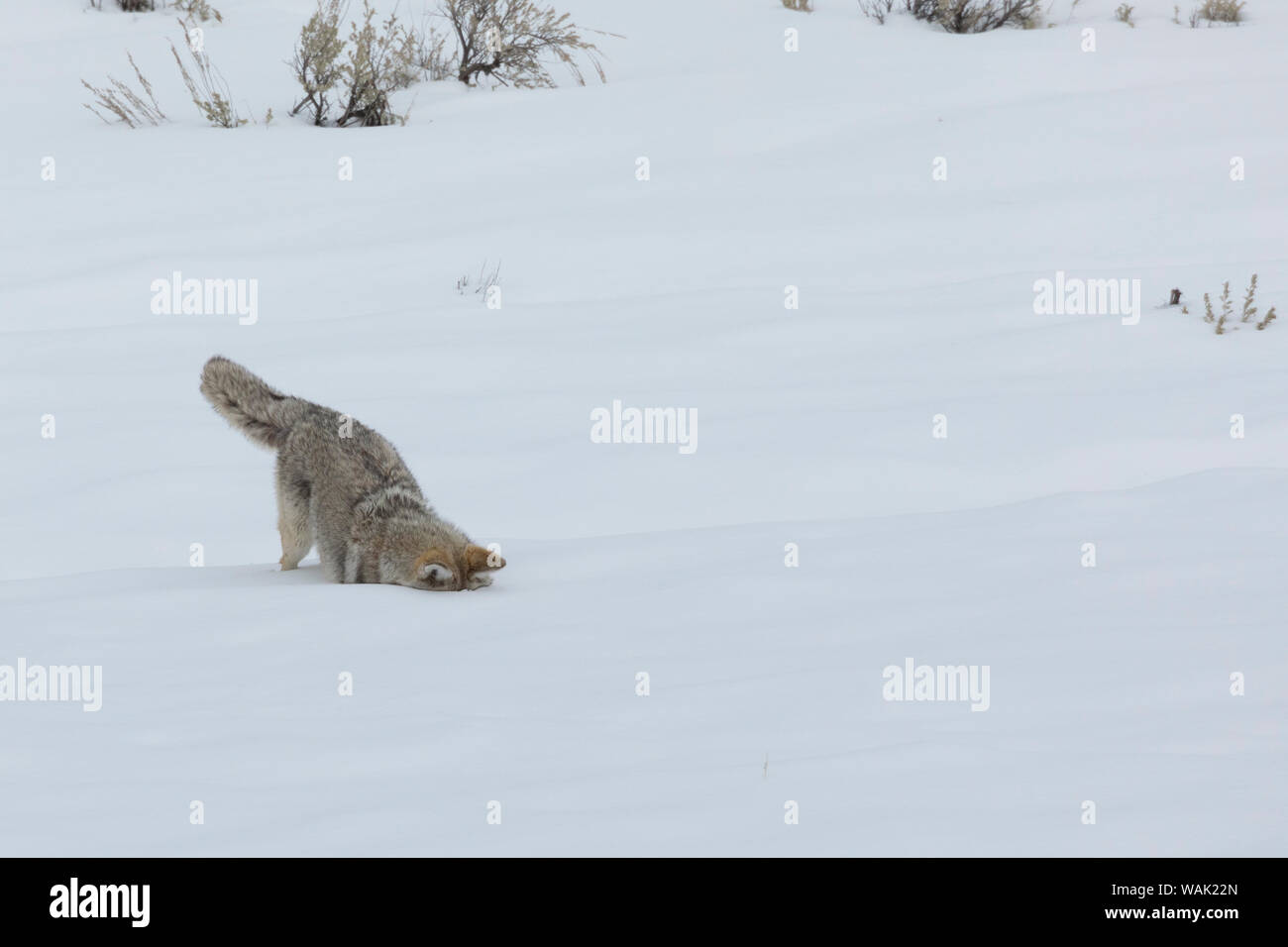 Going for a meal hi-res stock photography and images - Alamy