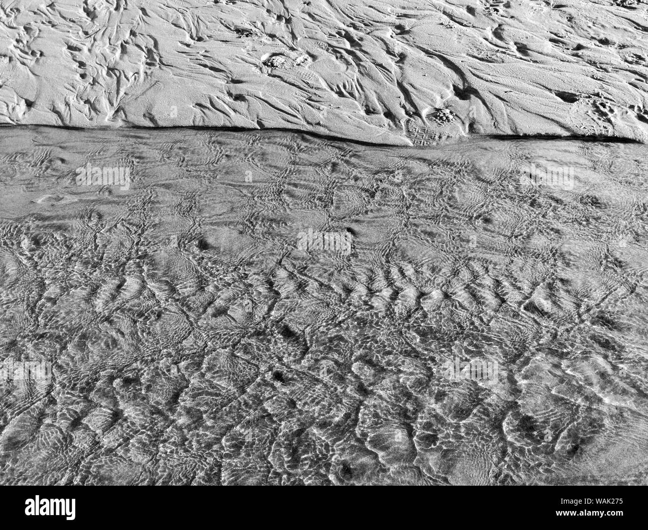 Wendy white hi-res stock photography and images - Alamy