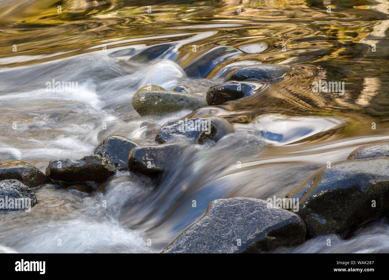 Wendy wilson hi-res stock photography and images - Alamy