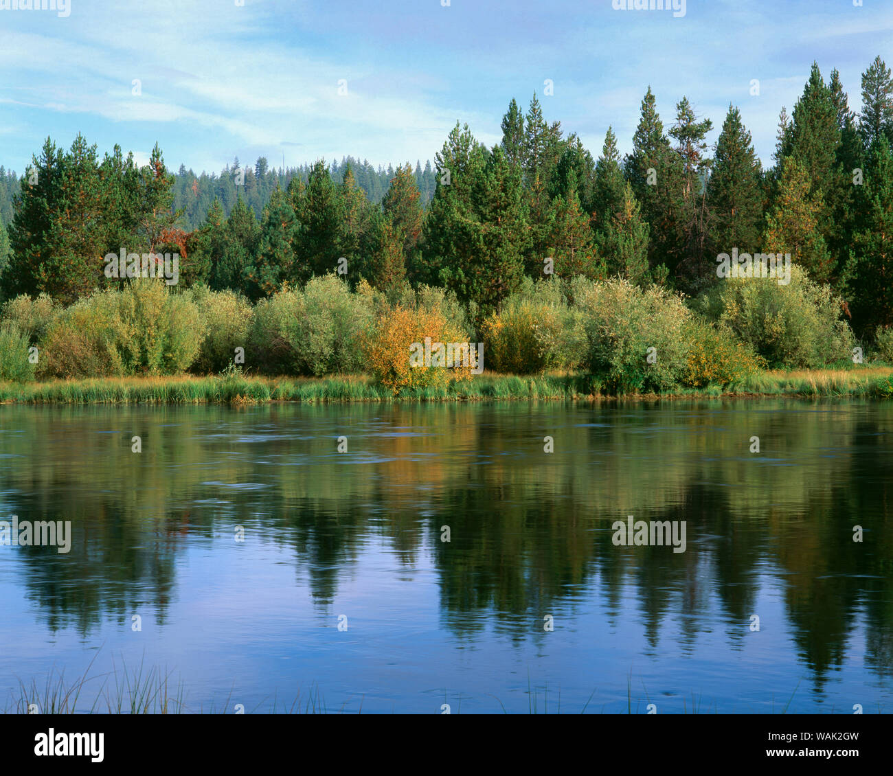 Upper sections hi-res stock photography and images - Alamy