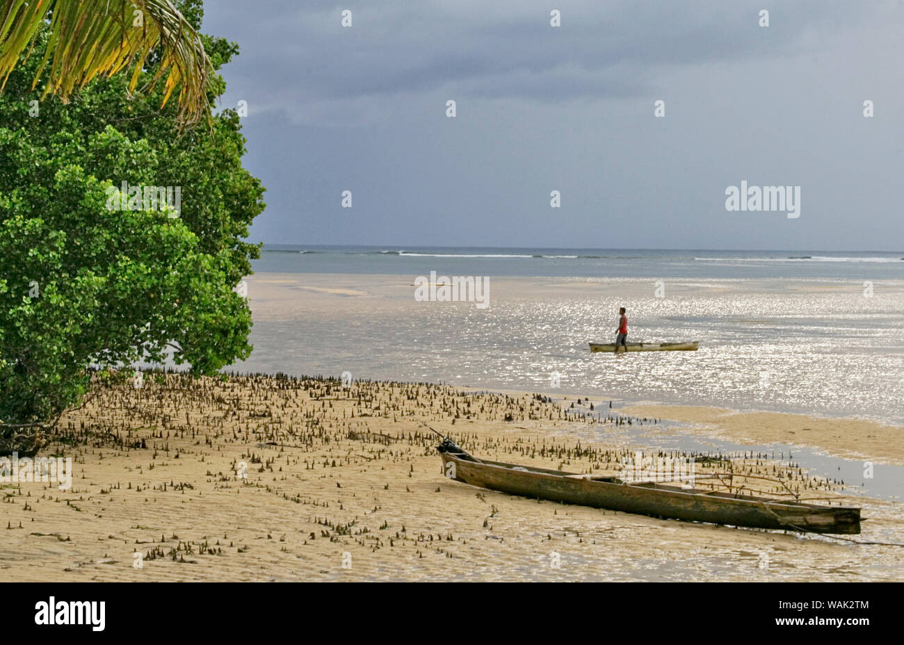 Kosrae, Micronesia (FSM). Man bringing his outrigger canoe ashore ...