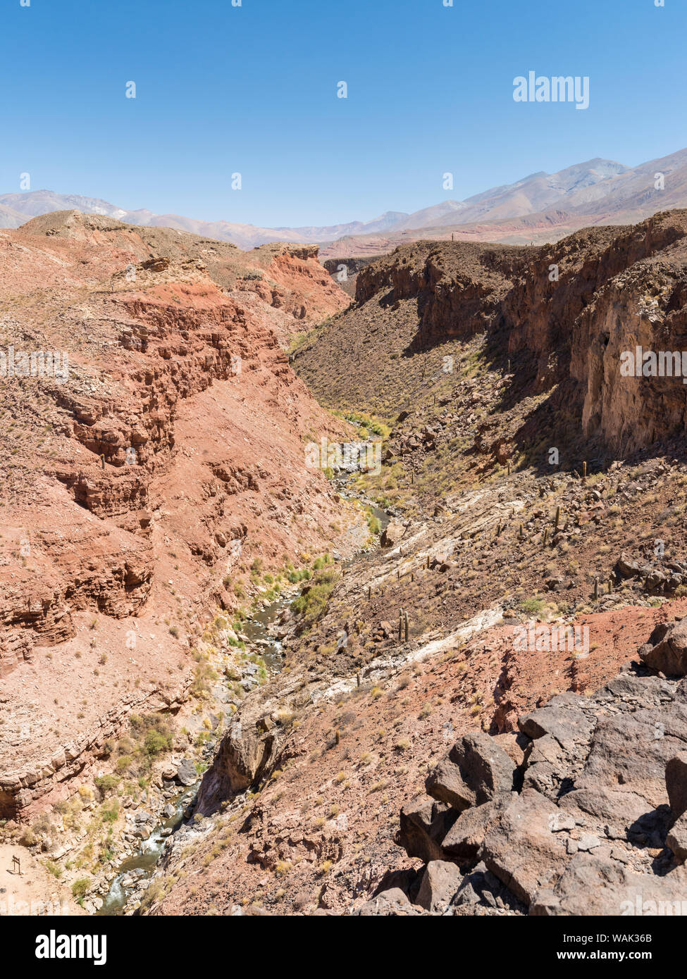 Canyon of Rio Calchaqui at Puente del Diablo. The Altiplano in ...