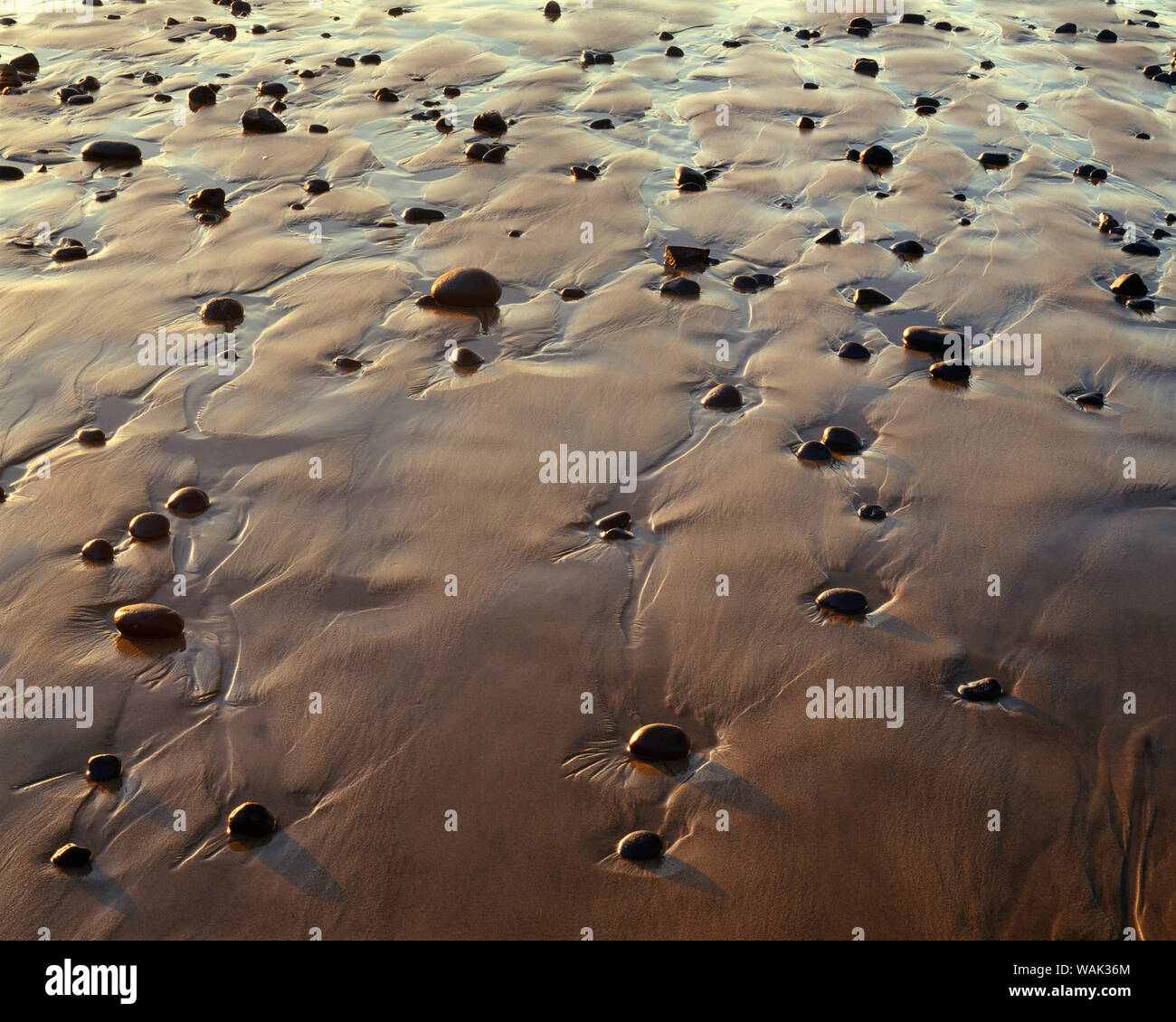 Scattered rocks hi-res stock photography and images - Alamy
