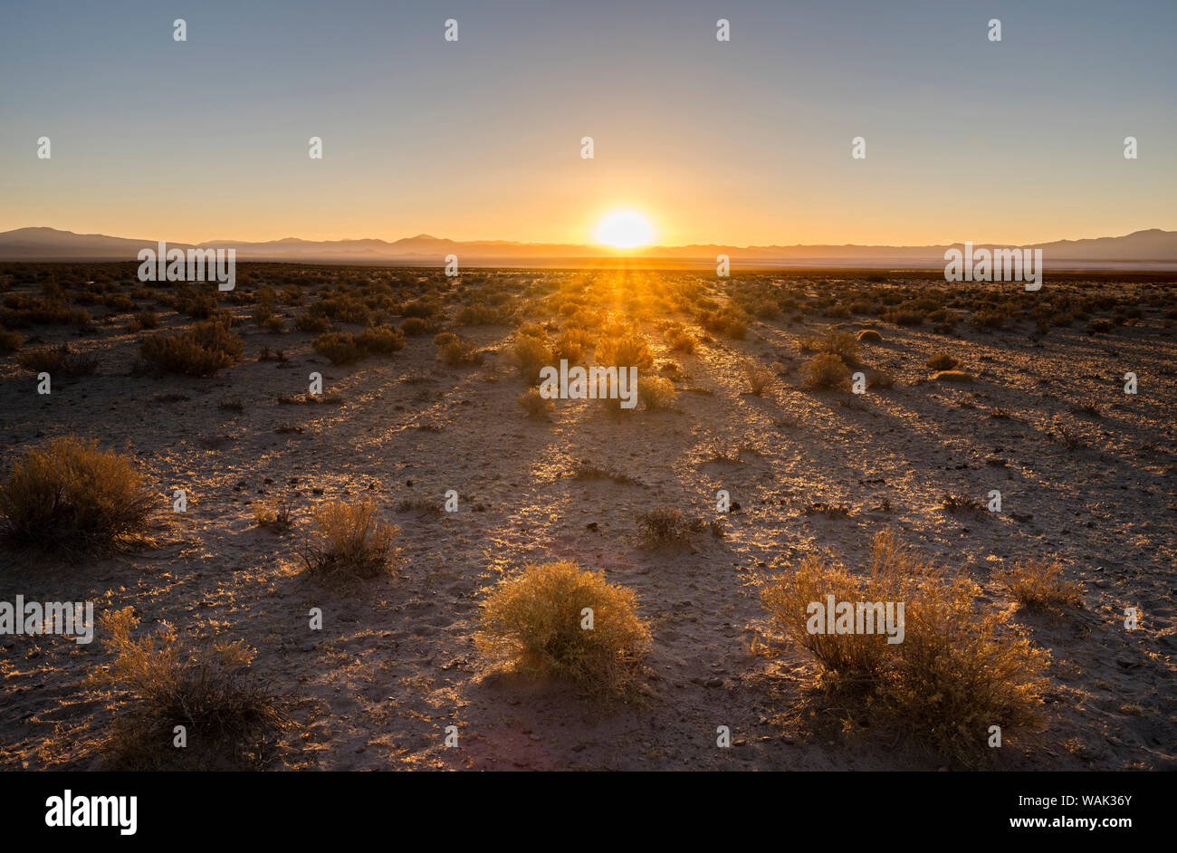 Landscape at the salt flats Salar Salinas Grandes in the Altiplano ...