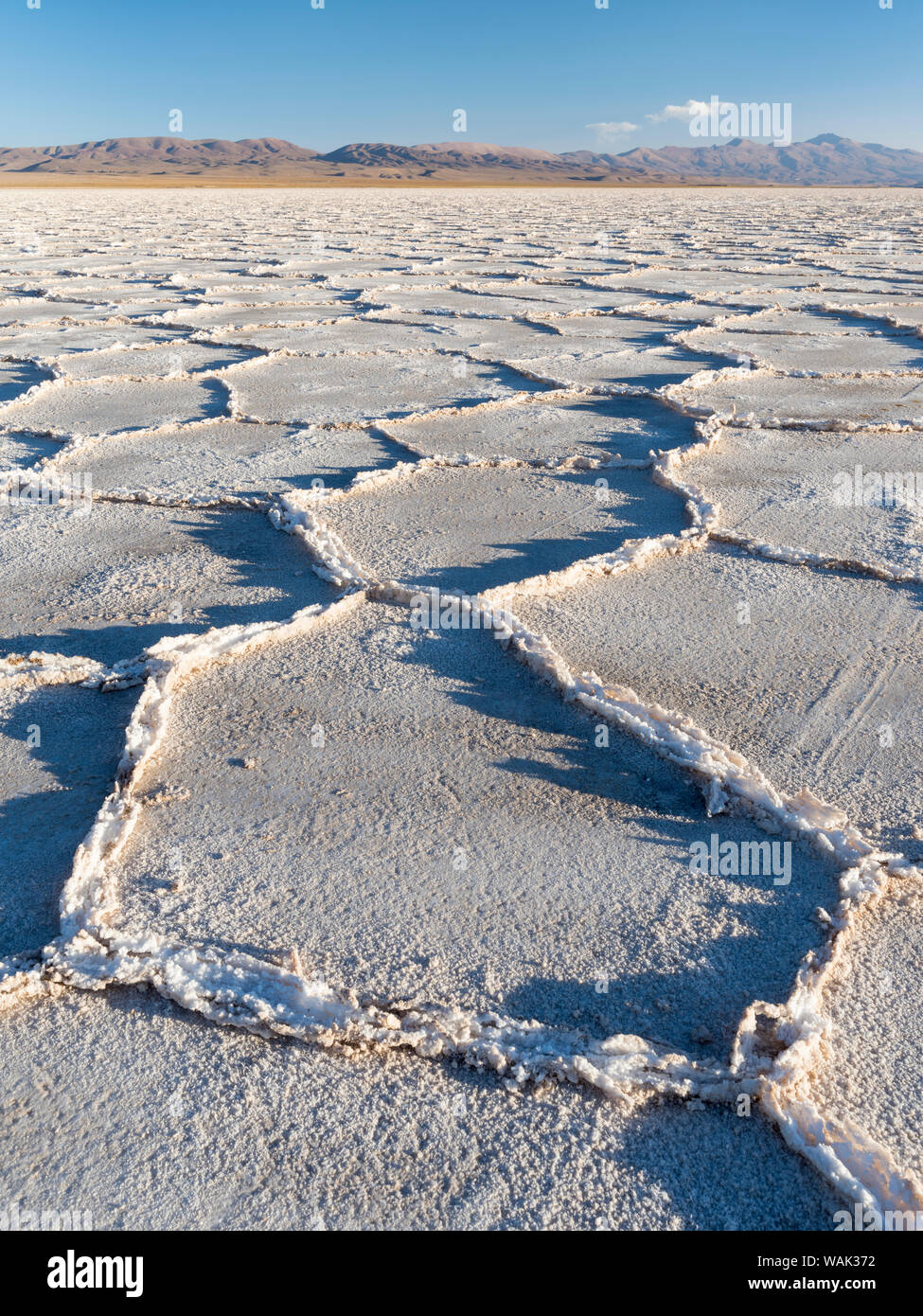 Surface of the Salar. Landscape on the salt flats Salar Salinas Grandes ...