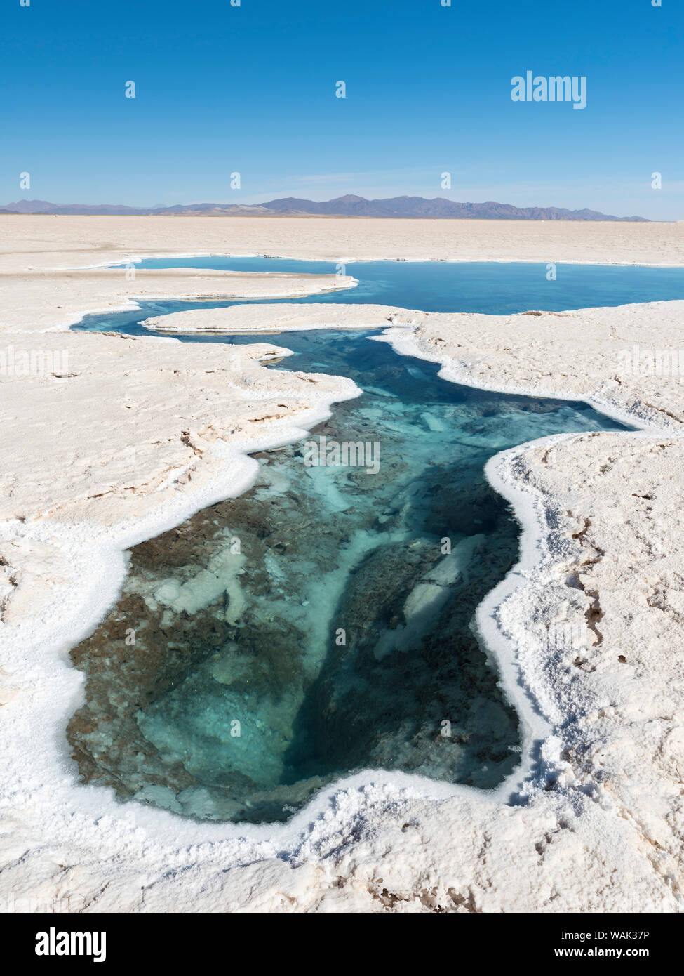 Ojos del Salar, groundwater ponds and surface of the Salar. Landscape ...