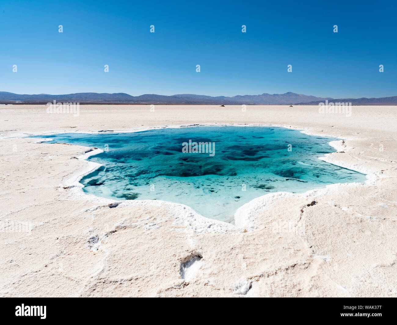 Ojos del Salar, groundwater ponds and surface of the Salar. Landscape ...