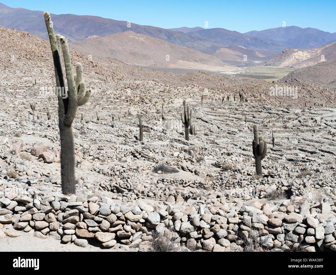 Old inca road system hi-res stock photography and images - Alamy