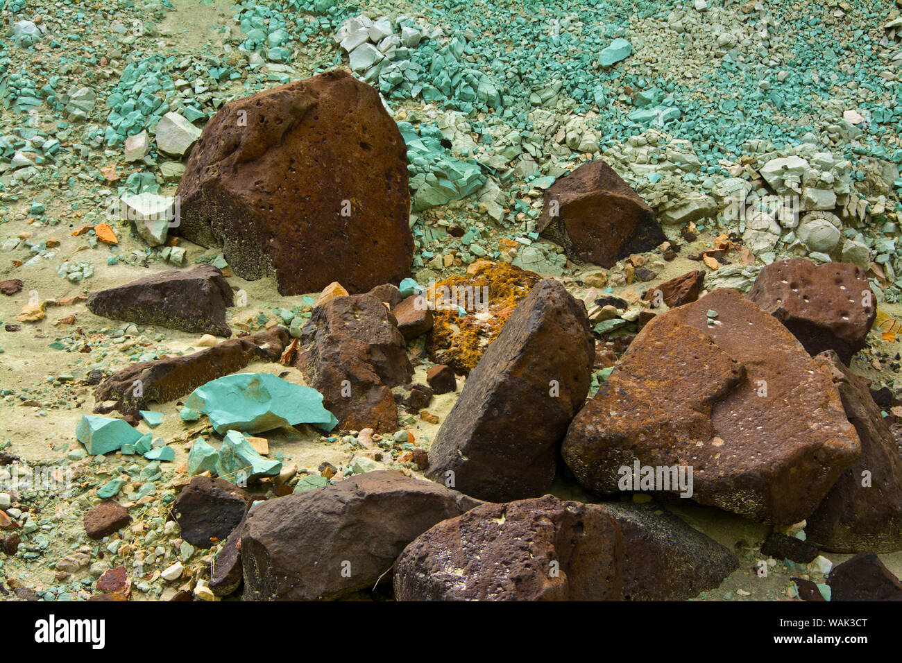 Fossil soil hi-res stock photography and images - Alamy