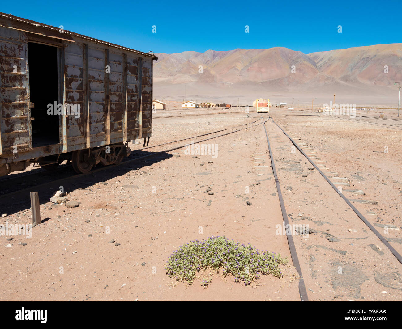 Station of the Salta railway, Antofagasta. Tolar Grande village, near ...