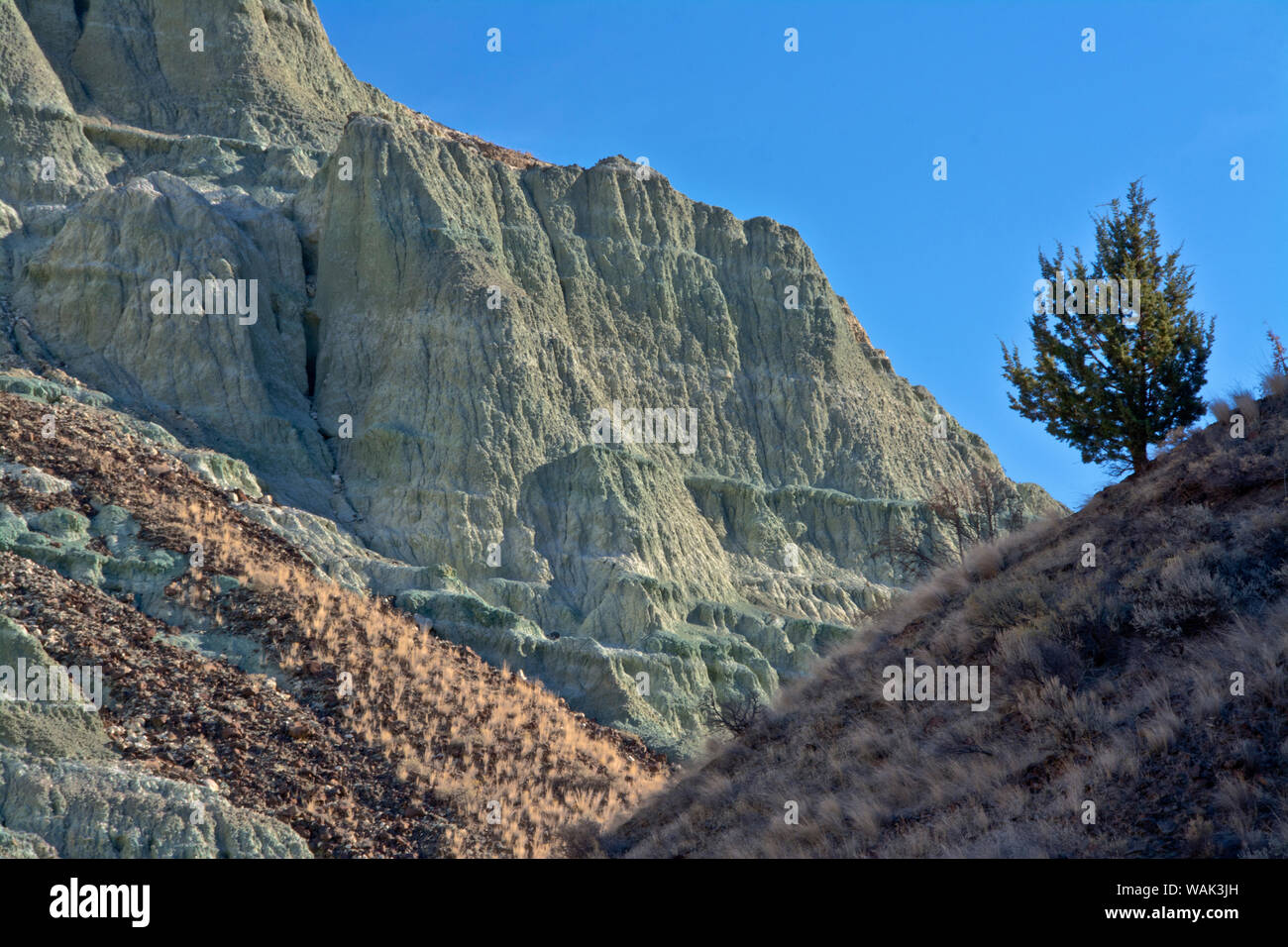 Fossil basin hi-res stock photography and images - Alamy
