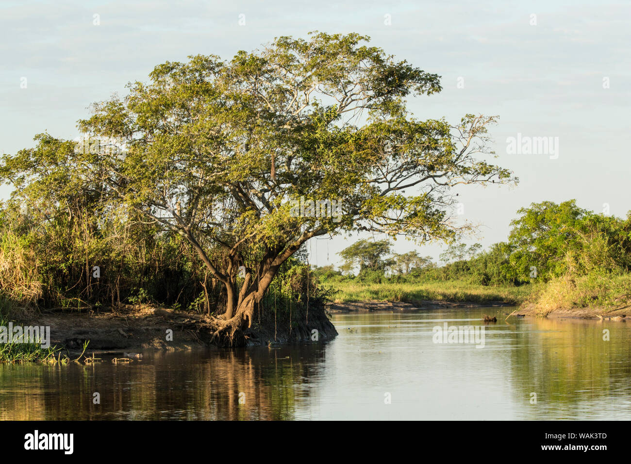 Pantanal, Mato Grosso, Brazil. Sunset on a shallow tributary of the ...