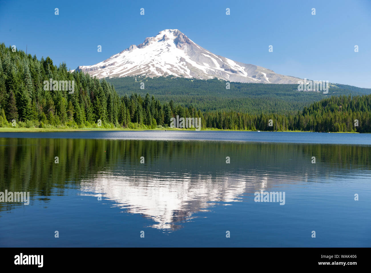 Trillium Lake, Mt. Hood National Forest, Mt. Hood in the background ...