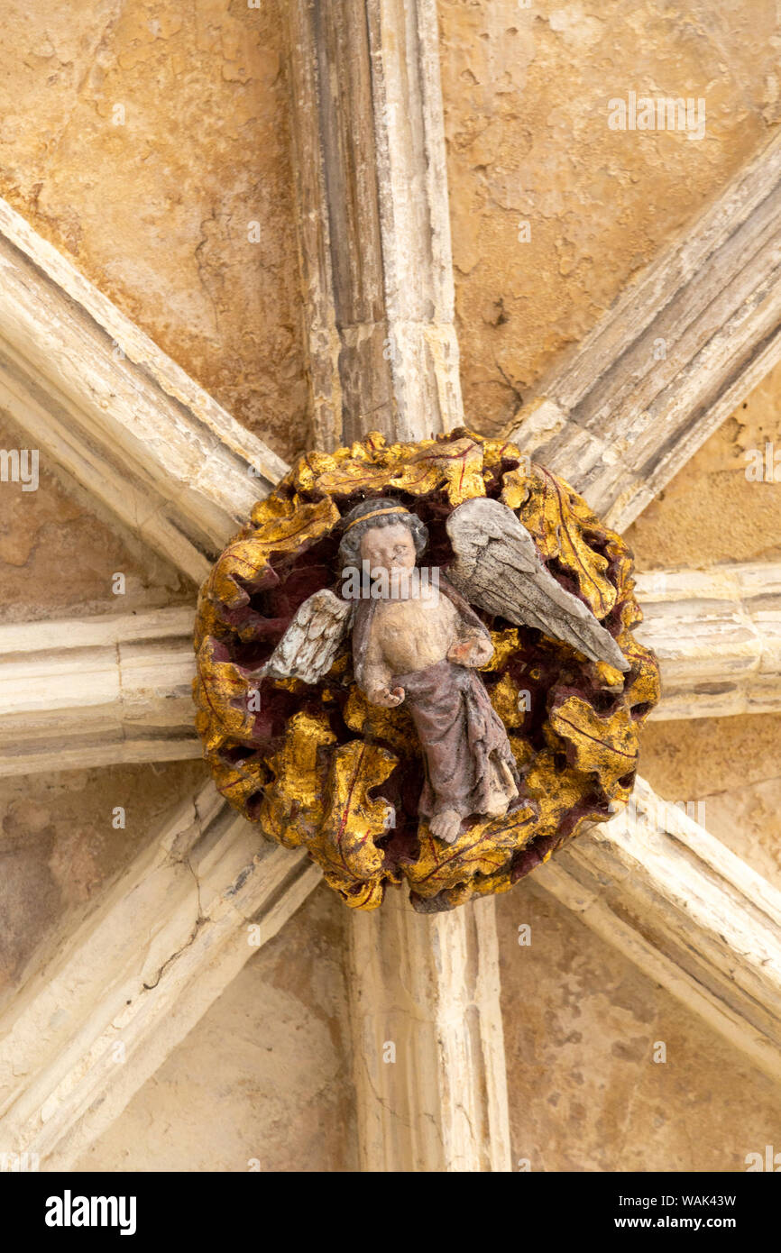 Norwich Cathedral Boss High Resolution Stock Photography and Images - Alamy