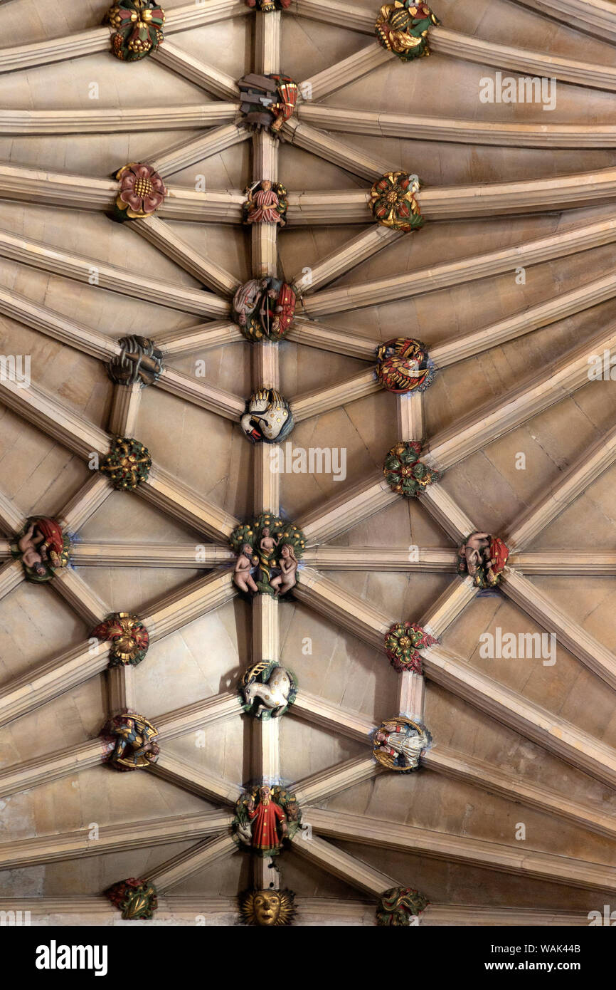Vaulted stone roof ceiling showing painted roof bosses, Norwich ...