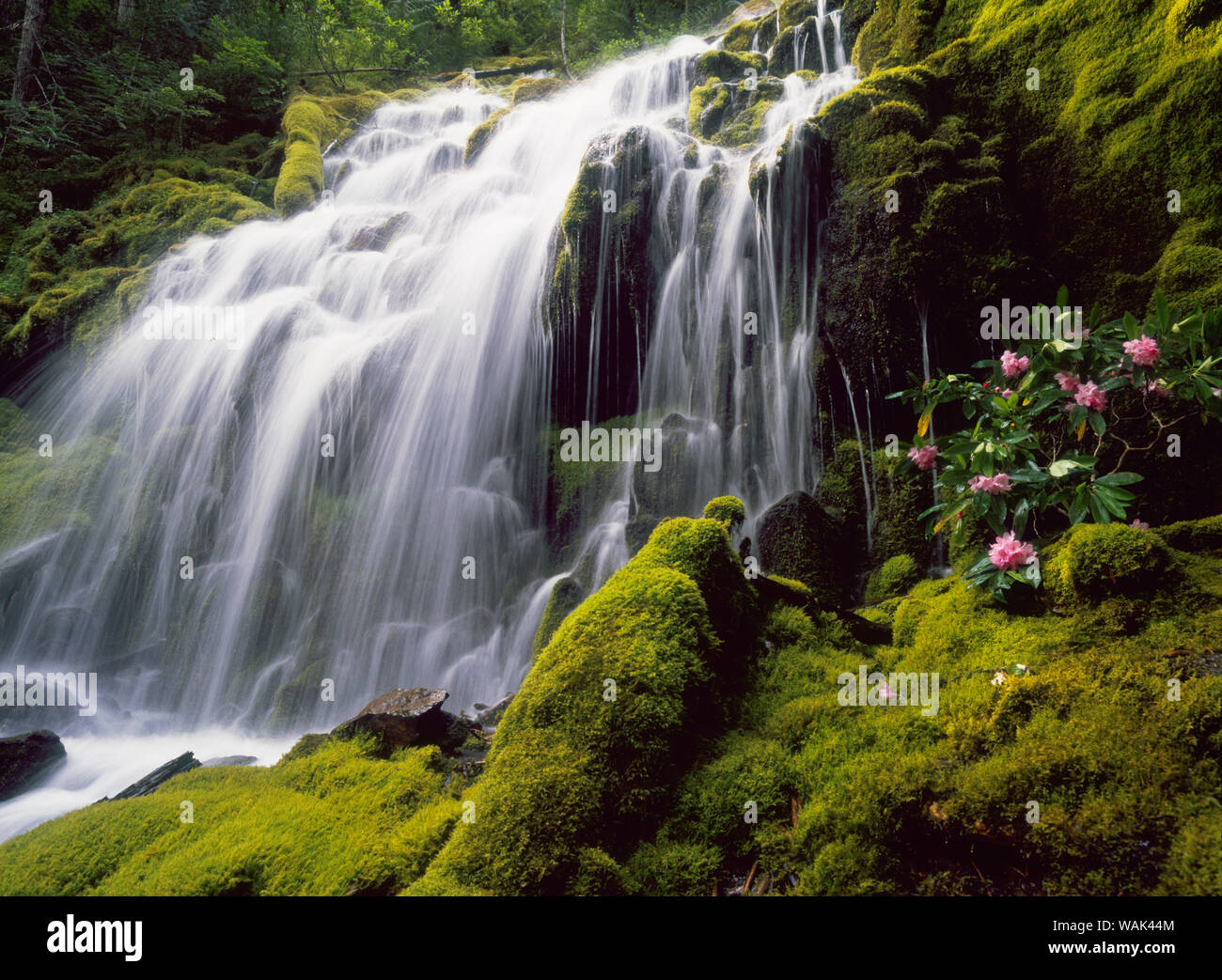 Scenic waterfall horizontal hi-res stock photography and images - Alamy