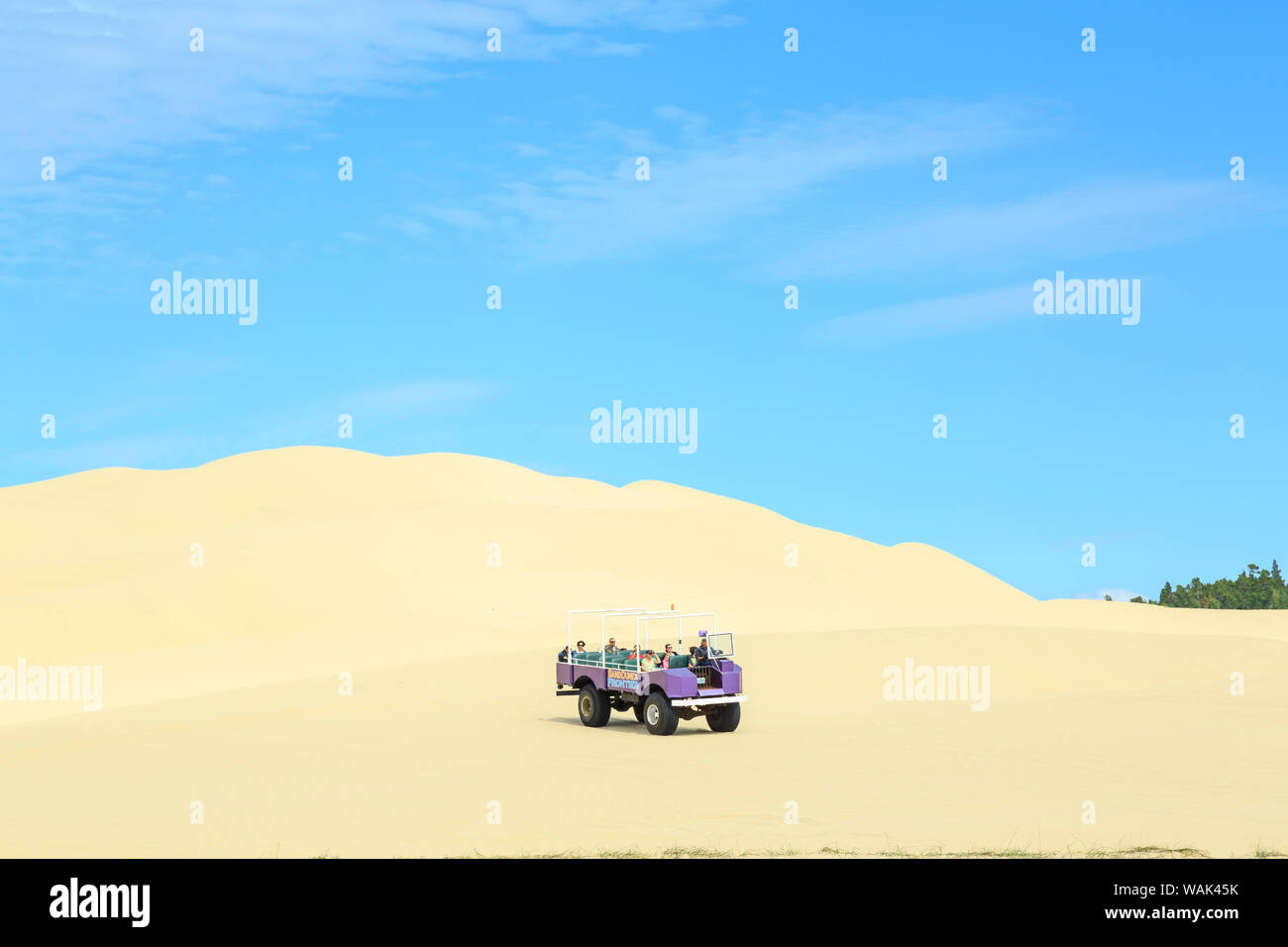 Oregon Dunes National Recreation Area, Oregon Coast near Reedsport ...