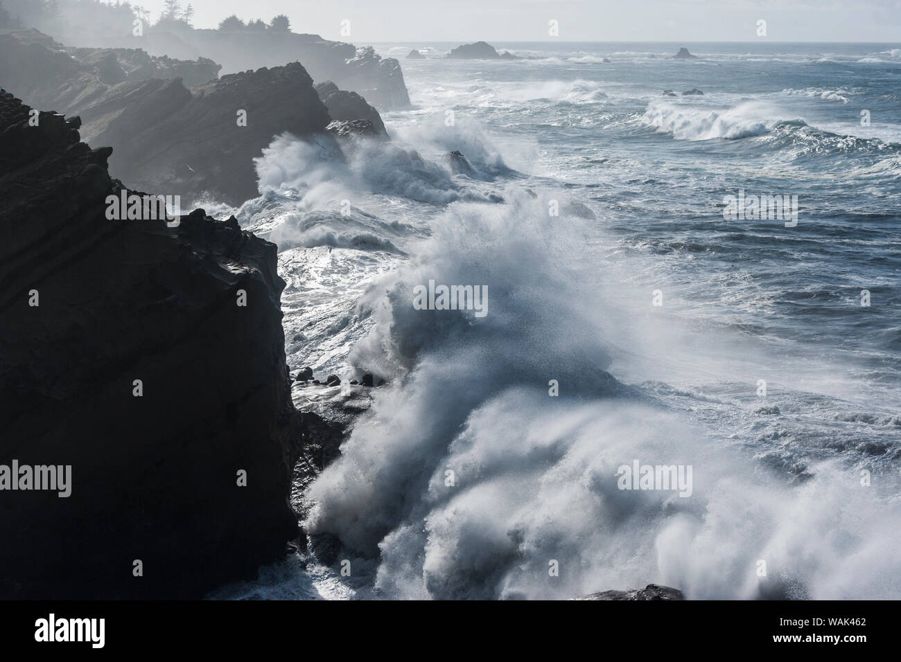 Winter storm watching, Shore Acres State Park, Southern Oregon Coast ...