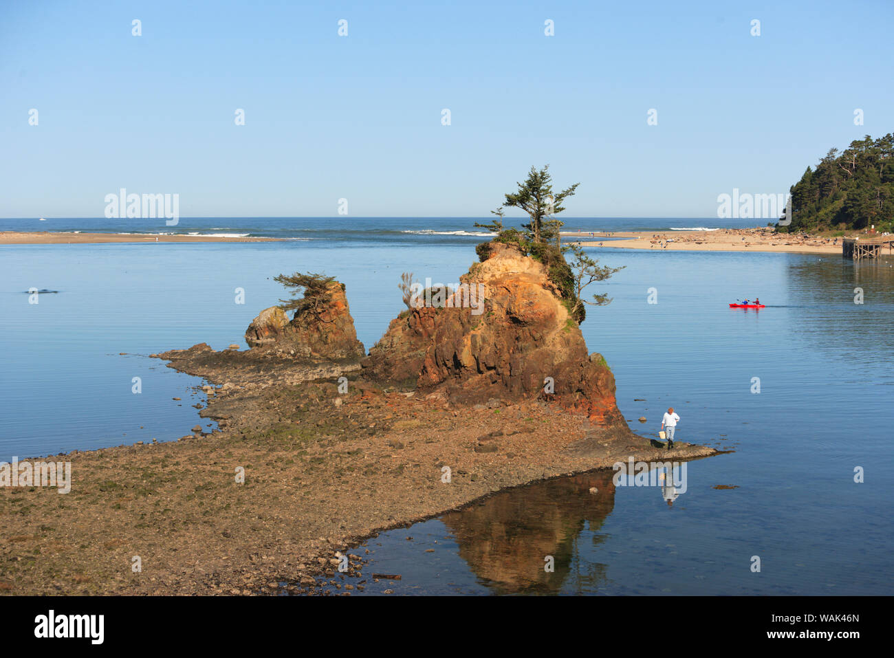 People enjoying a Pacific Northwest beach, clam collecting, and ...