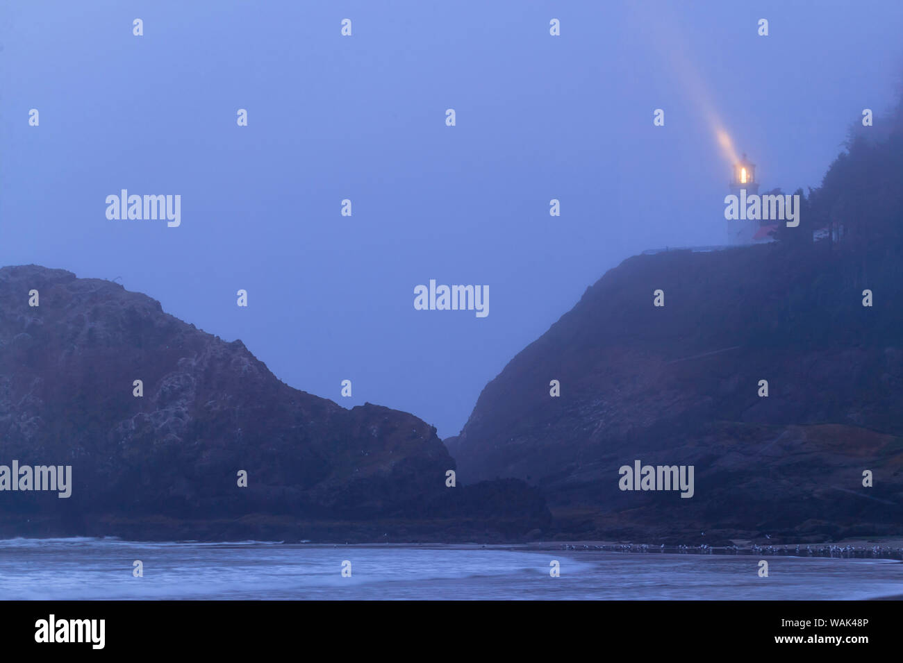 Heceta Head Lighthouse, Devil's Elbow State Park, Oregon Coast Stock ...