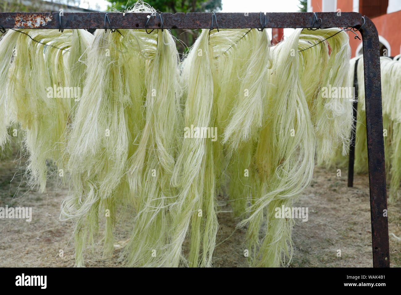 Agave fiber hi-res stock photography and images - Alamy