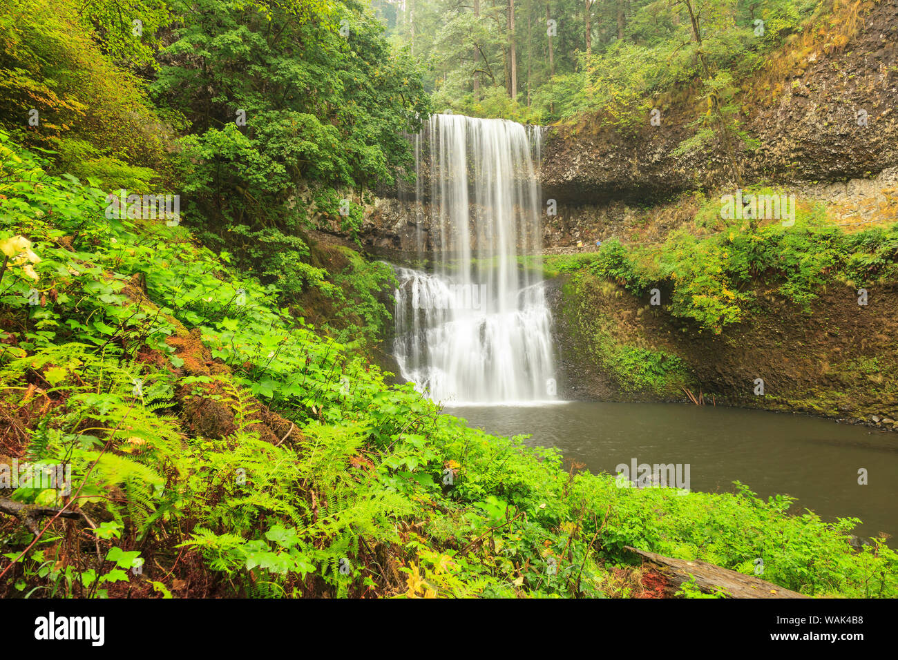 Trail of Ten Falls, Silver Falls State Park, near Silverton, Oregon ...