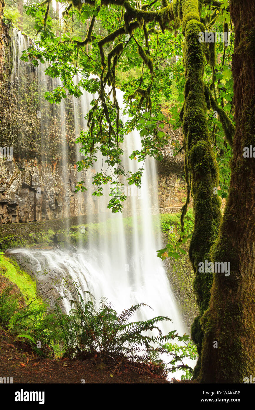 Trail of Ten Falls, Silver Falls State Park, near Silverton, Oregon ...