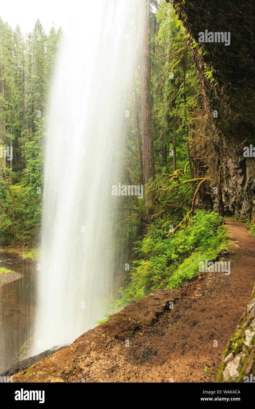 Trail of Ten Falls, Silver Falls State Park, near Silverton, Oregon ...