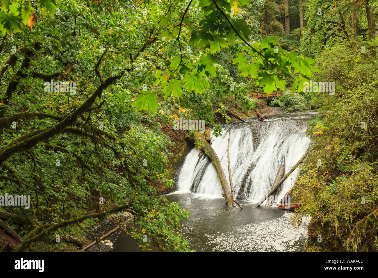 Trail of Ten Falls, Silver Falls State Park, near Silverton, Oregon ...