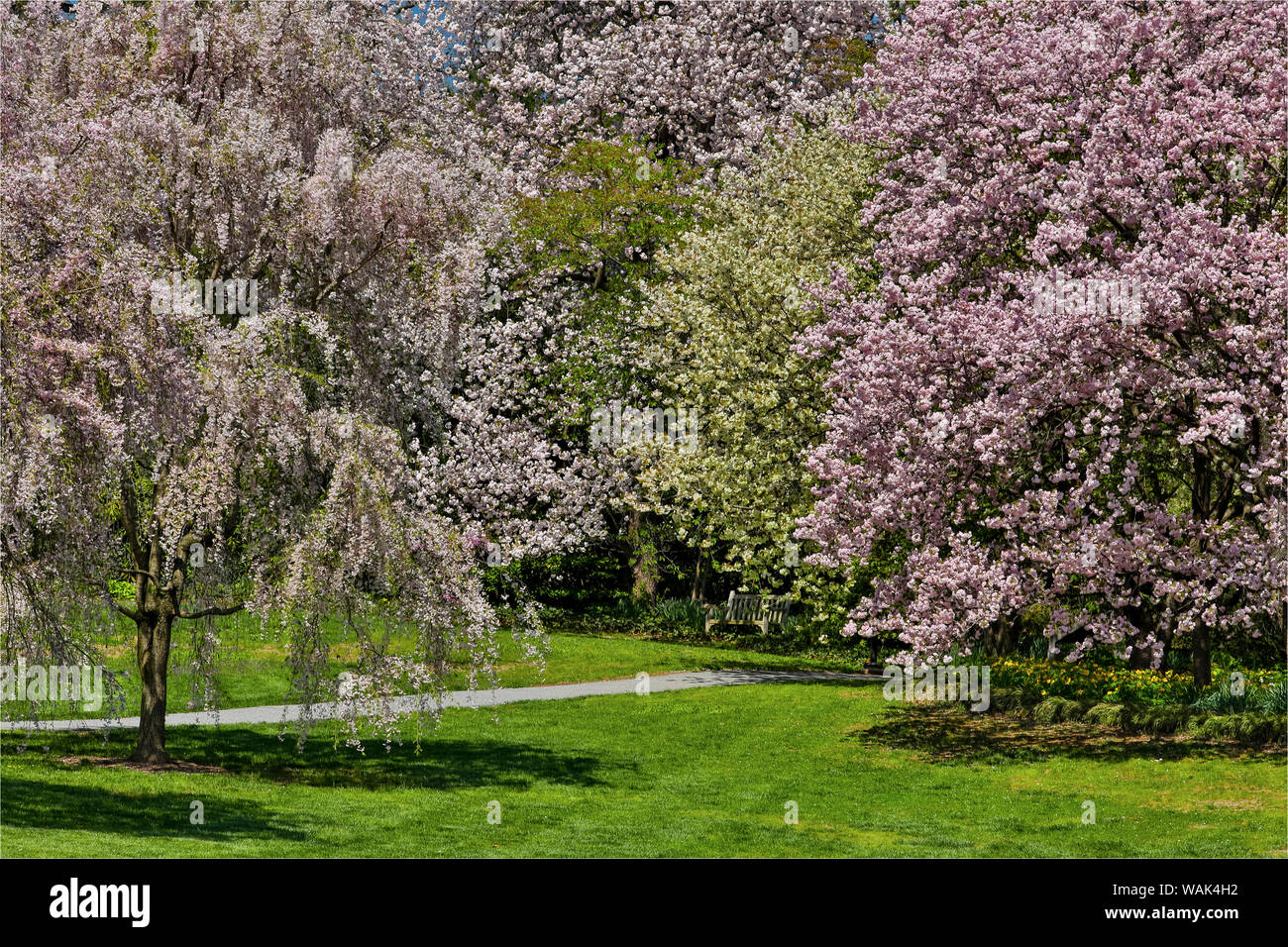 Strathmore hi-res stock photography and images - Alamy