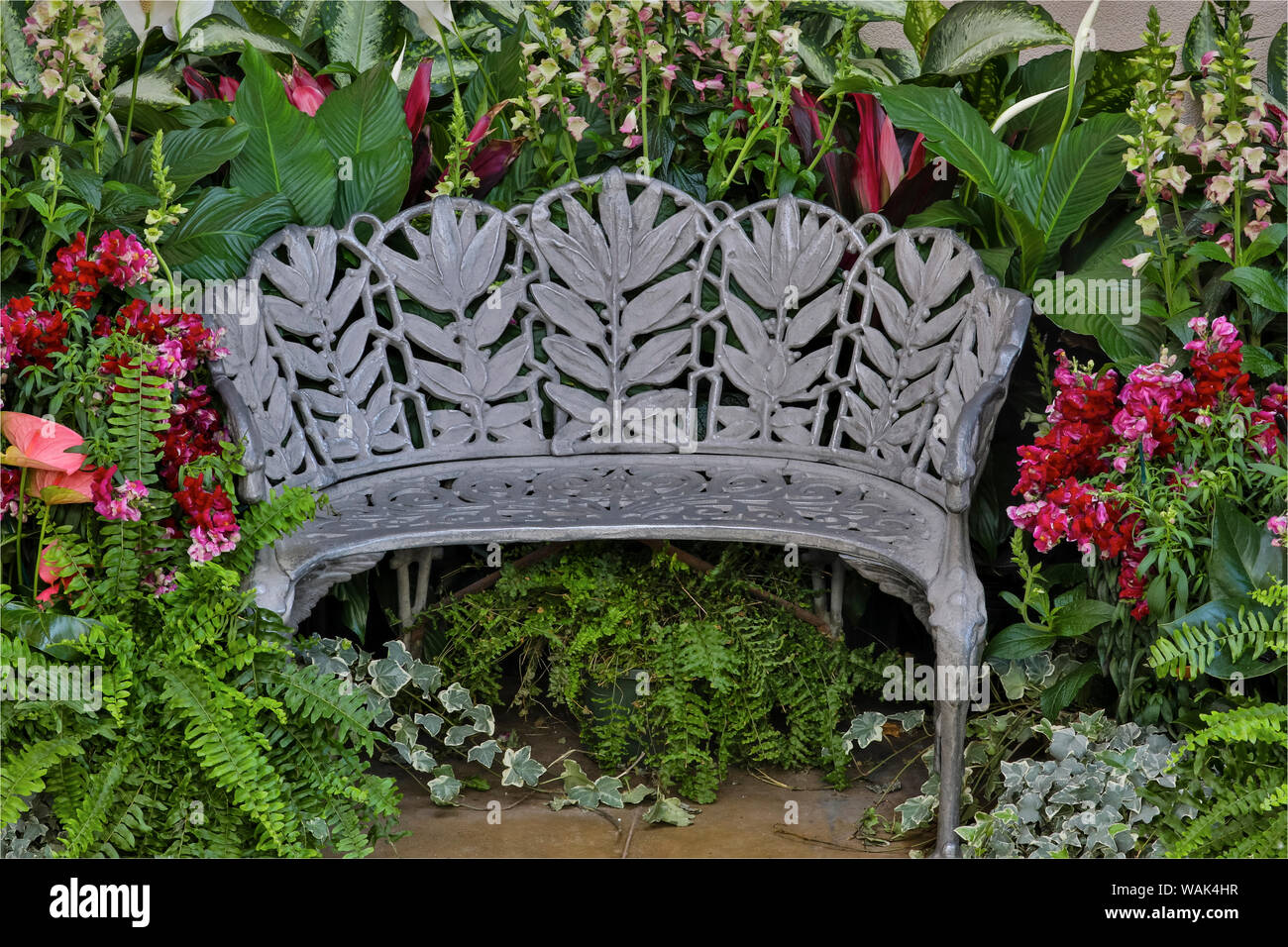 Greenhouse bench hi-res stock photography and images - Alamy