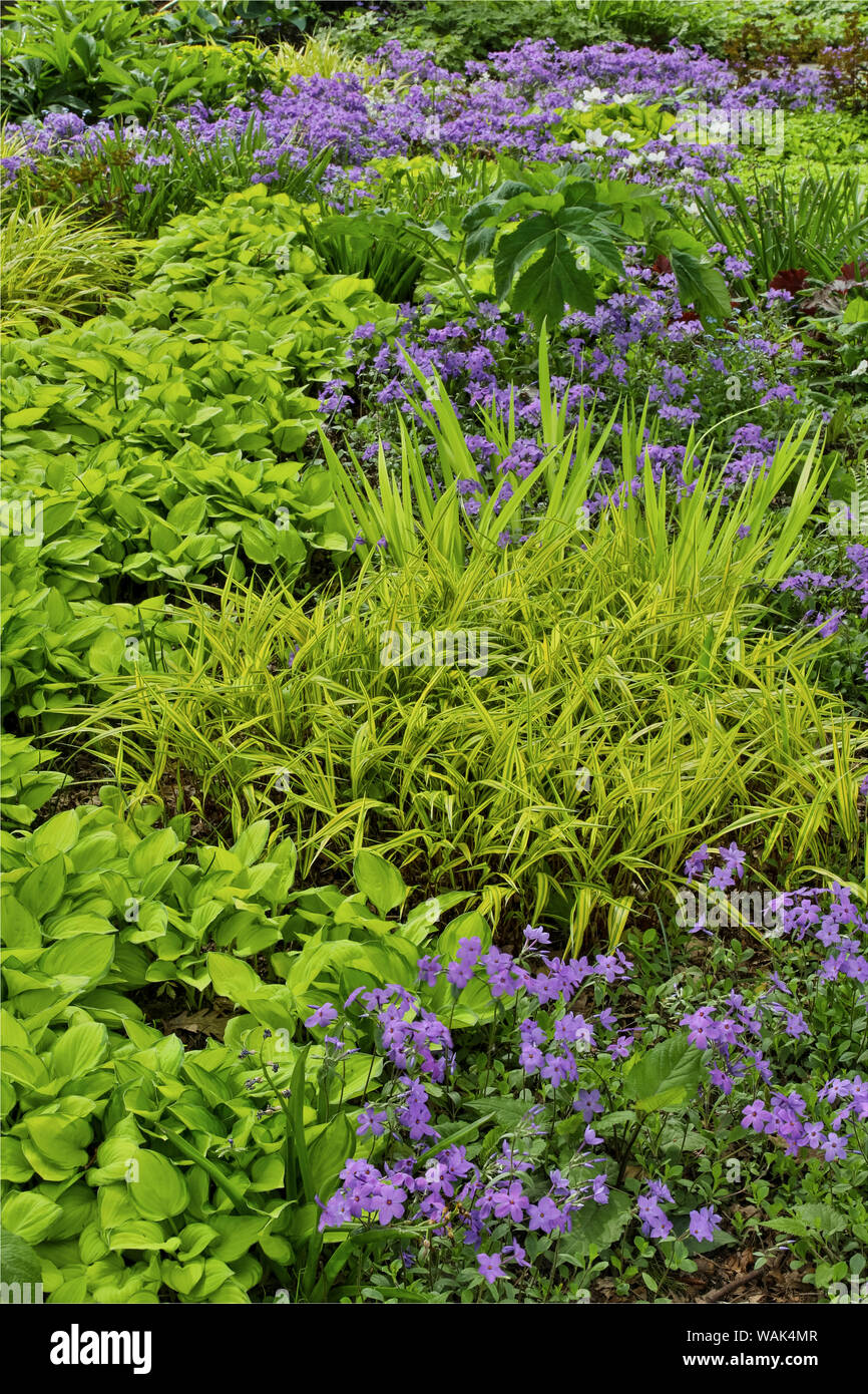 Spring colors, Chanticleer Garden, Wayne, Pennsylvania Stock Photo - Alamy