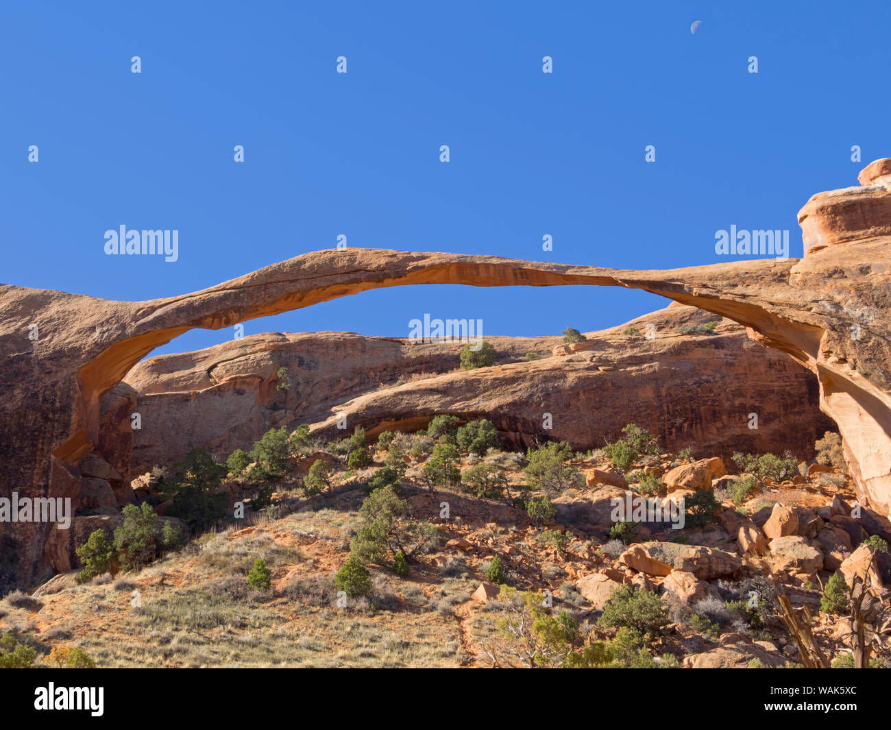 Arches national park landscape arch hi-res stock photography and images ...
