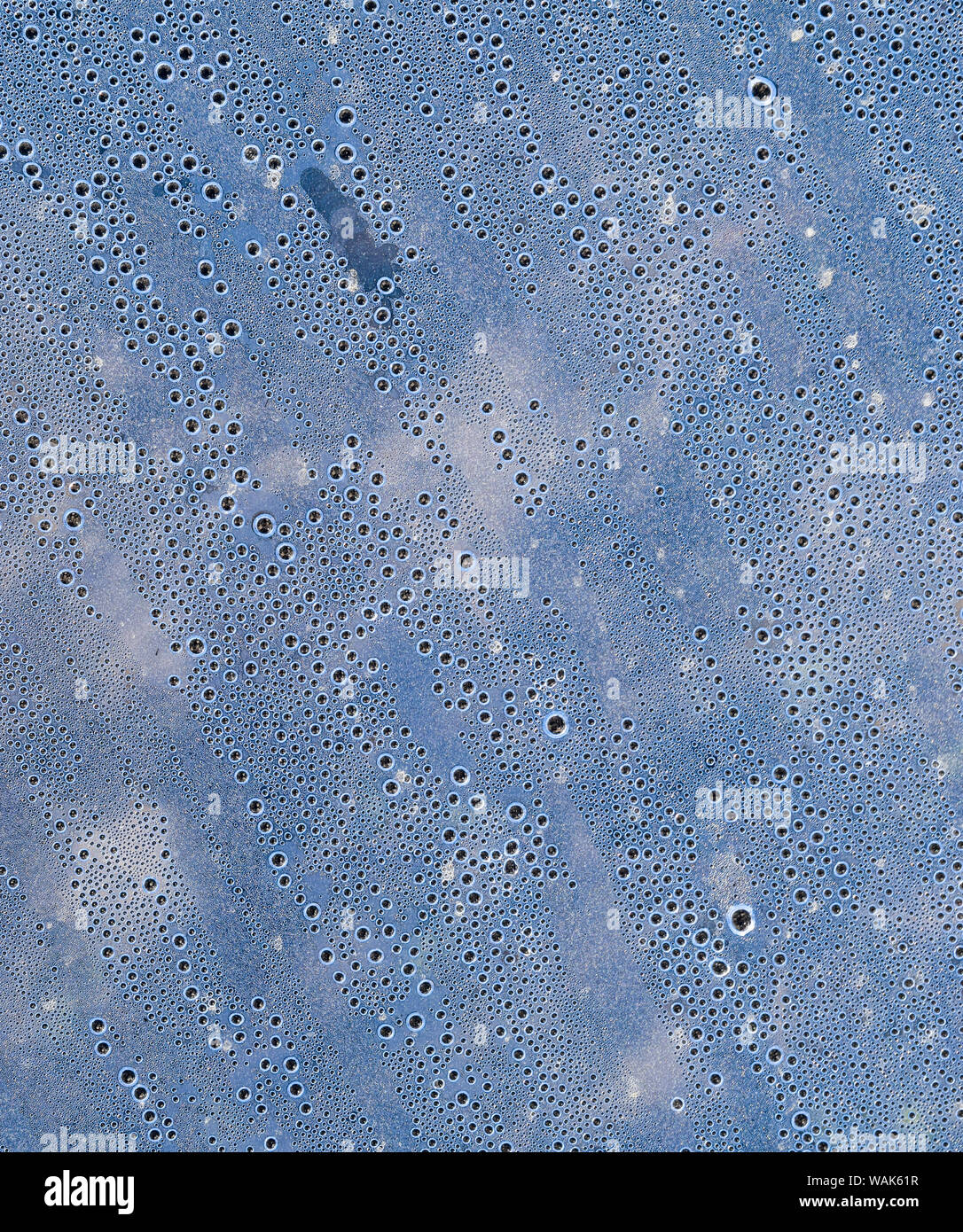 Background of the condensate drops on the film is polyethylene. Water ...